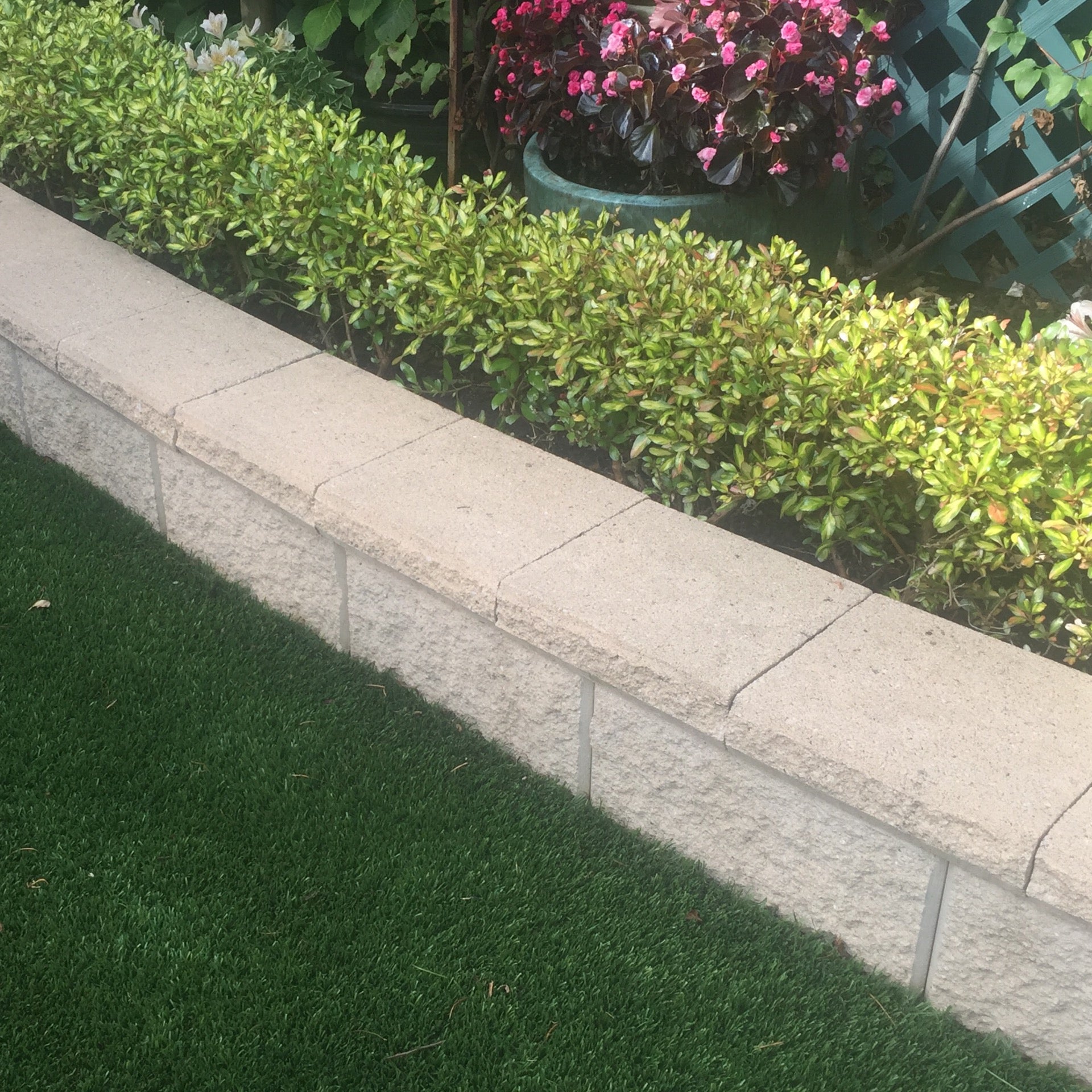 Landscape Design CAD | Limestone Coast Turf